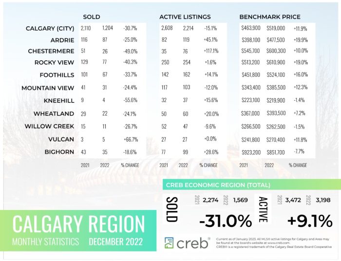 Hanney Nelson Real Estate Group : Calgary Real Estate Board Infographic